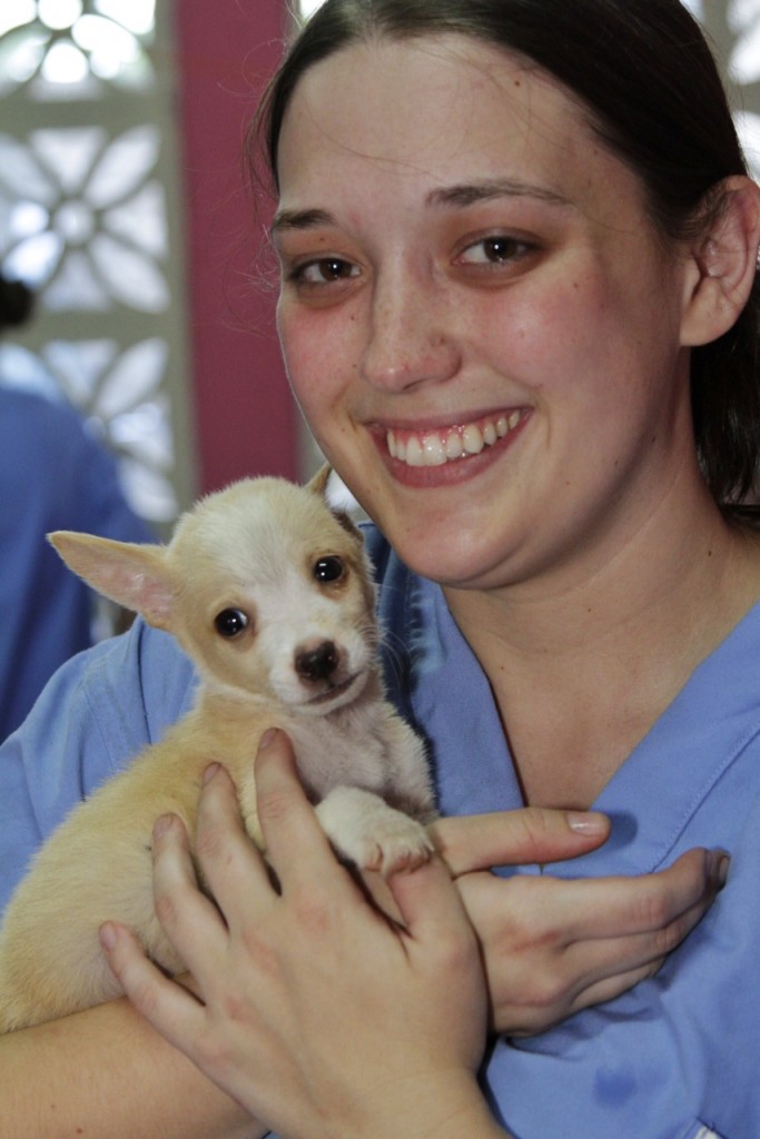 Tori Chanco - World Vets - to improve the quality of life of animals ...