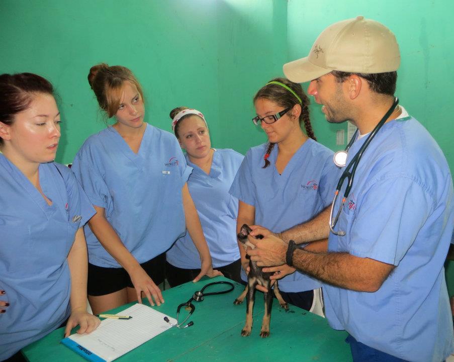 May 2012 - World Vets - to improve the quality of life of animals ...