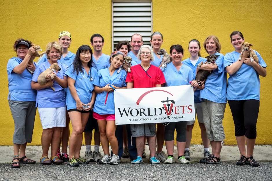 World Vets Team Returns from Santo Domingo - World Vets - to improve ...