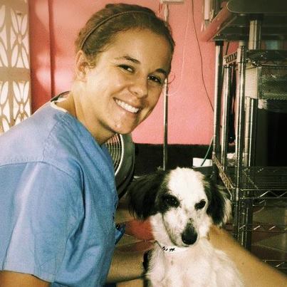 Lucky Pup to go home with Volunteer - World Vets - to improve the ...