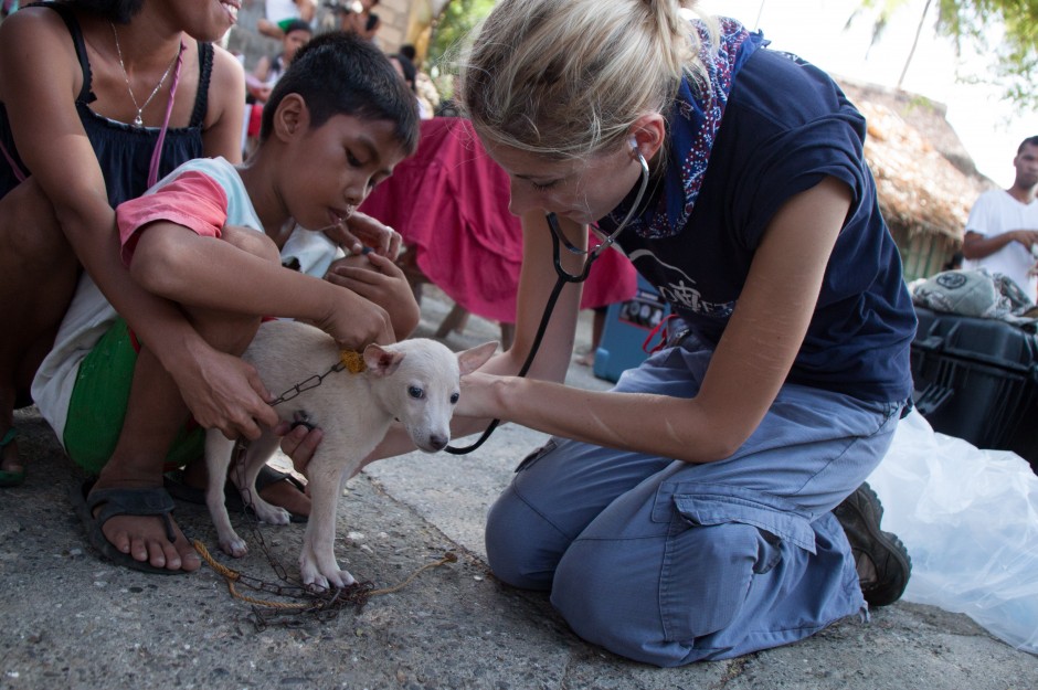 humanitarian aid - World Vets - to improve the quality of life of ...