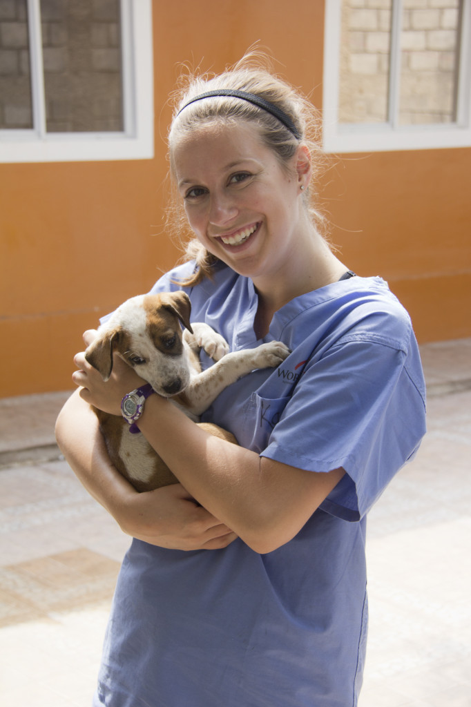 IVM Program Spring Session Results - World Vets - to improve the ...