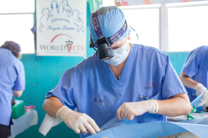 Veterinary Field Projects - World Vets - to improve the quality of life ...