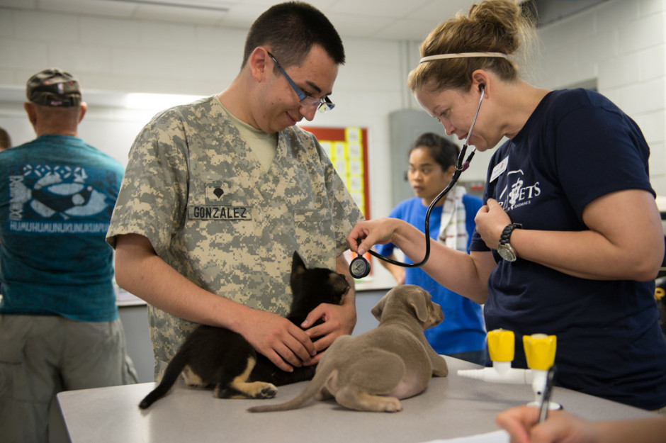 pacific partnership - World Vets - to improve the quality of life of ...