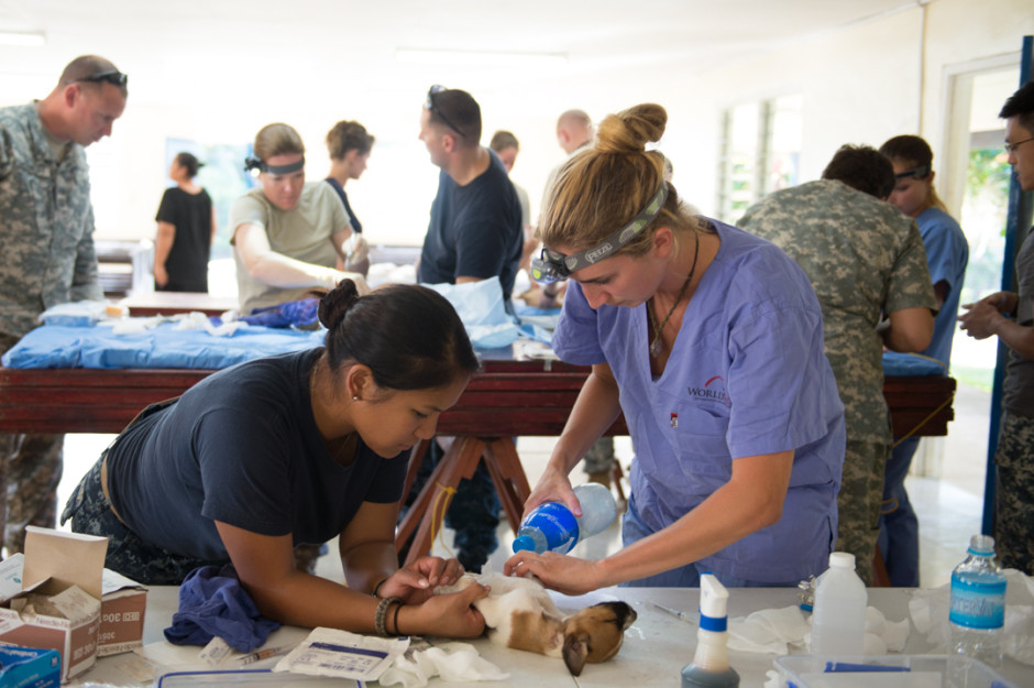 World Vets Working in Tonga; Farm Calls, Education & Spay/Neuter ...