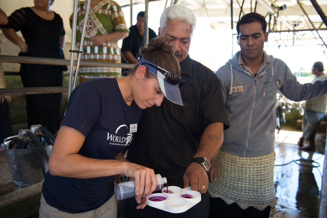 World Vets Working in Tonga; Farm Calls, Education & Spay/Neuter ...