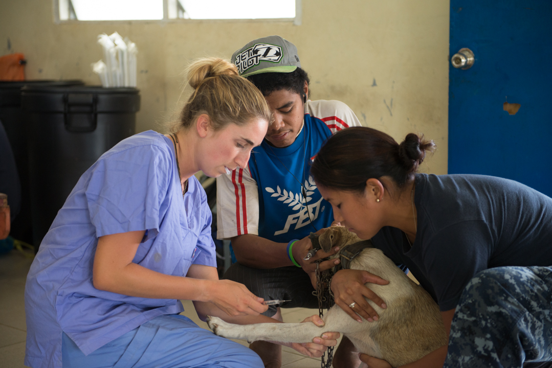 World Vets Working in Tonga; Farm Calls, Education & Spay/Neuter ...