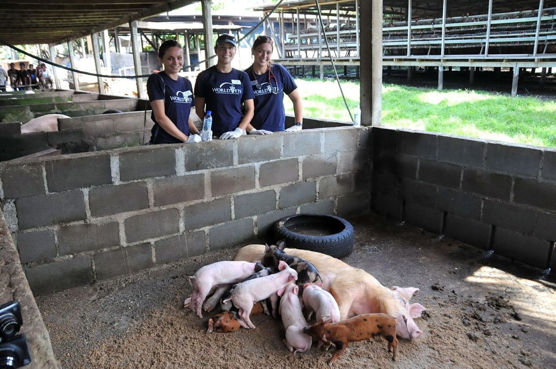 pacific partnership - World Vets - to improve the quality of life of ...