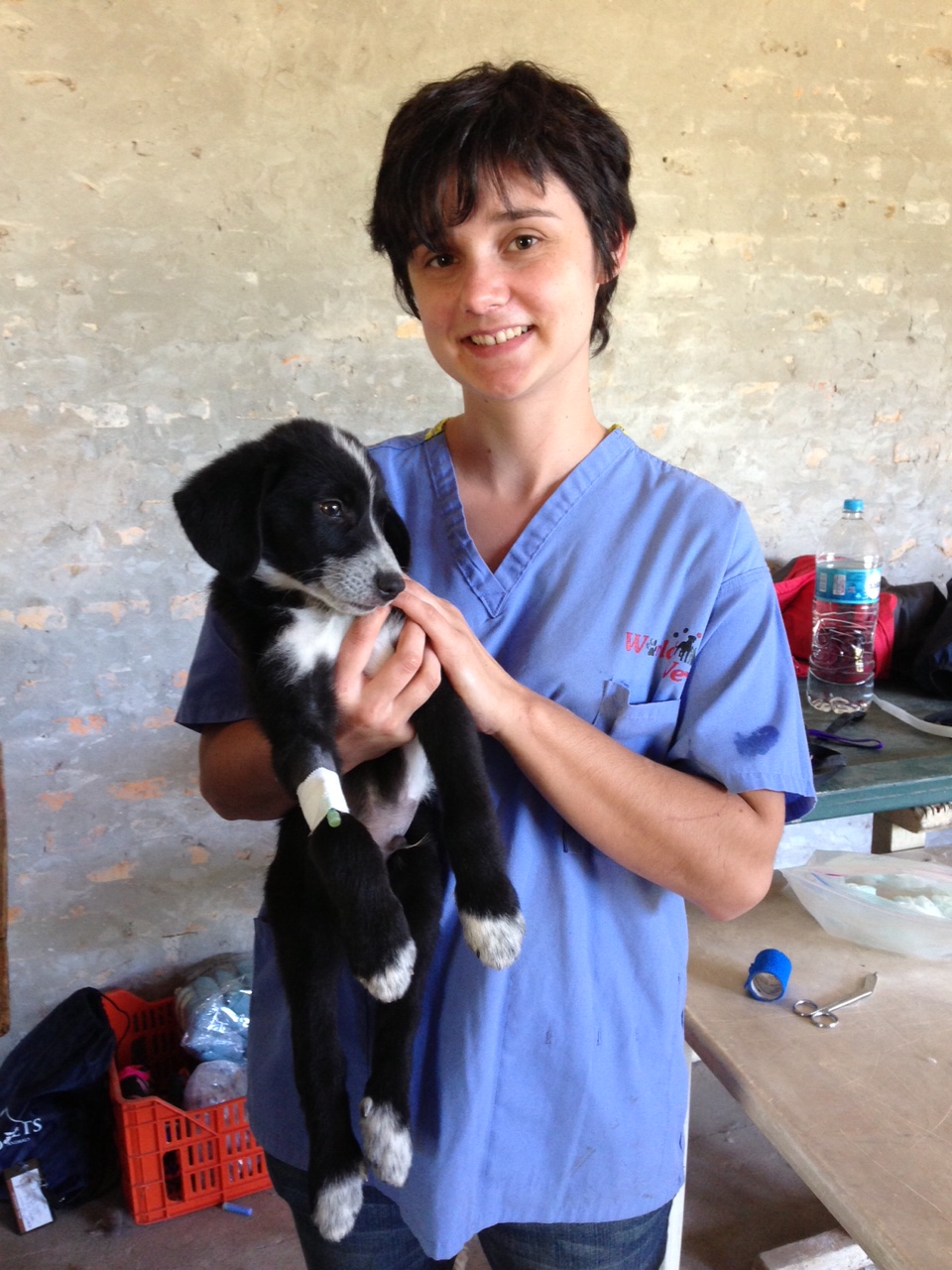 World Vets is in Paraguay this Week! - World Vets - to improve the ...