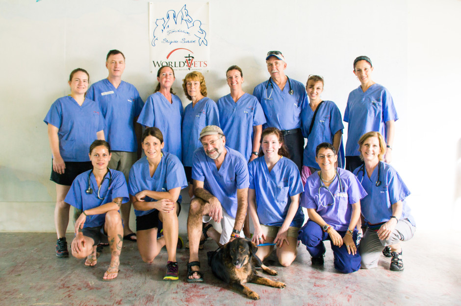 Three Successful Field Operatives Completed - World Vets - to improve ...