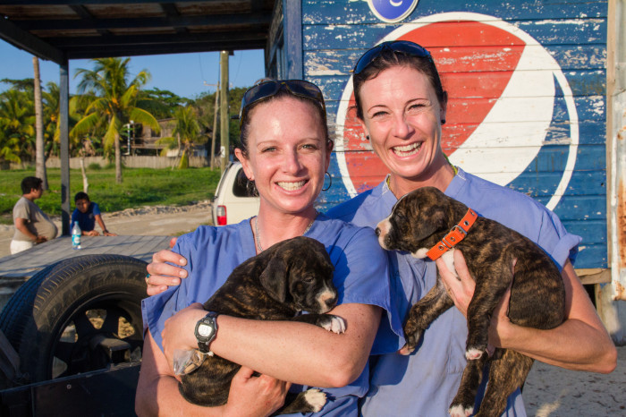 Be a World Vets Student Ambassador! - World Vets - to improve the ...