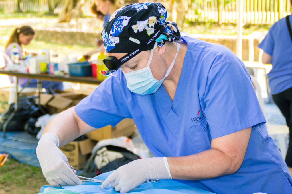 Continual Success: World Vets Small Animal Project in Roatan - World ...