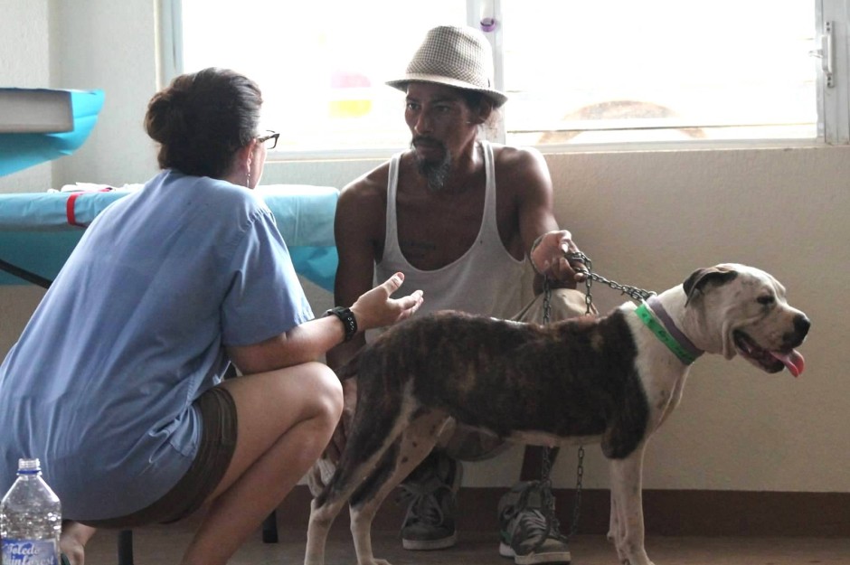 World Vets brings veterinary services to the “End of the World” - World ...