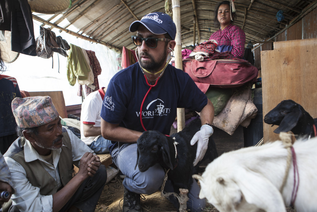 Disaster Response - World Vets - to improve the quality of life of ...