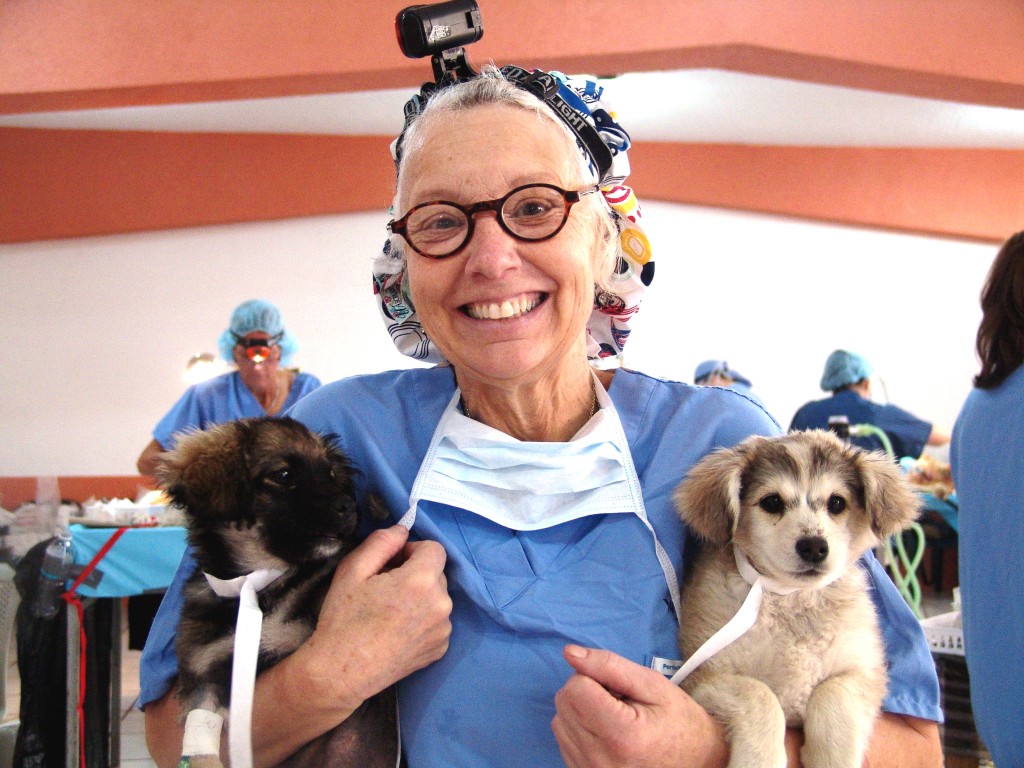 Limited Time “Deposit Option” Available on Veterinary Field Projects ...