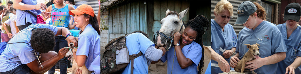 World Vets Celebrates 10 Years! - World Vets - to improve the quality ...