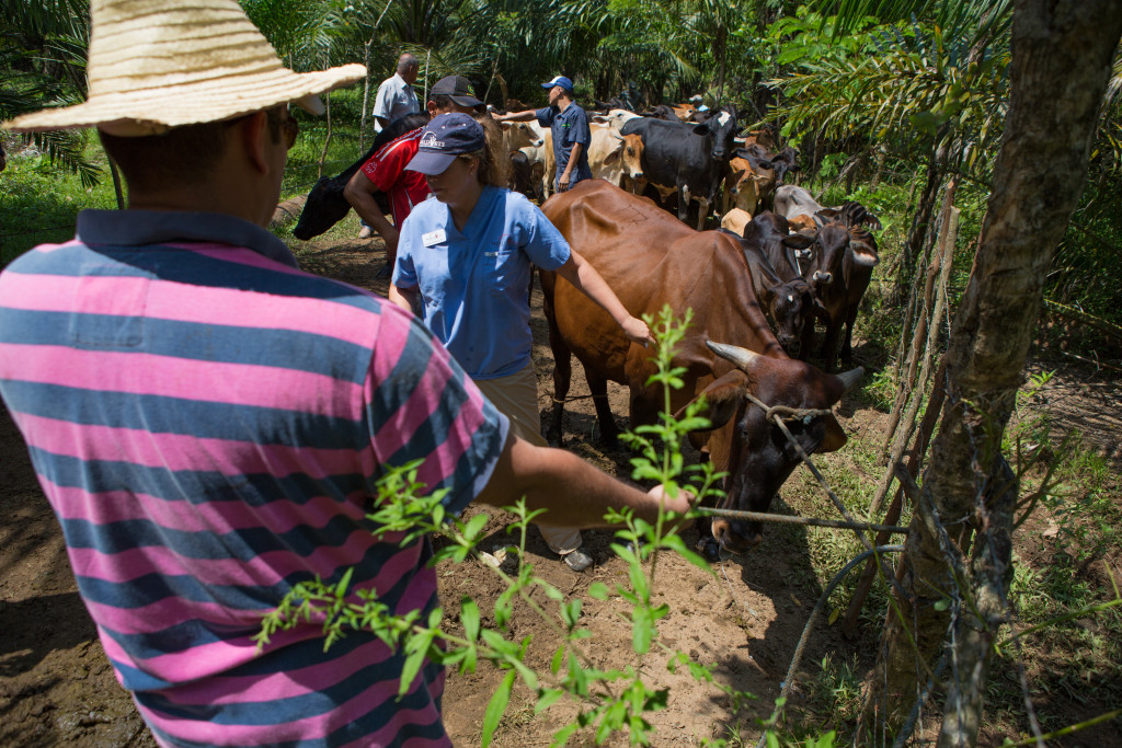 Civil-Military Humanitarian Aid - World Vets - to improve the quality ...