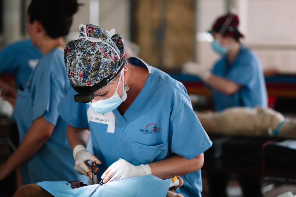 Siem Reap, Cambodia - World Vets - to improve the quality of life of ...