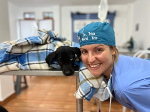 News Updates - World Vets - to improve the quality of life of animals ...