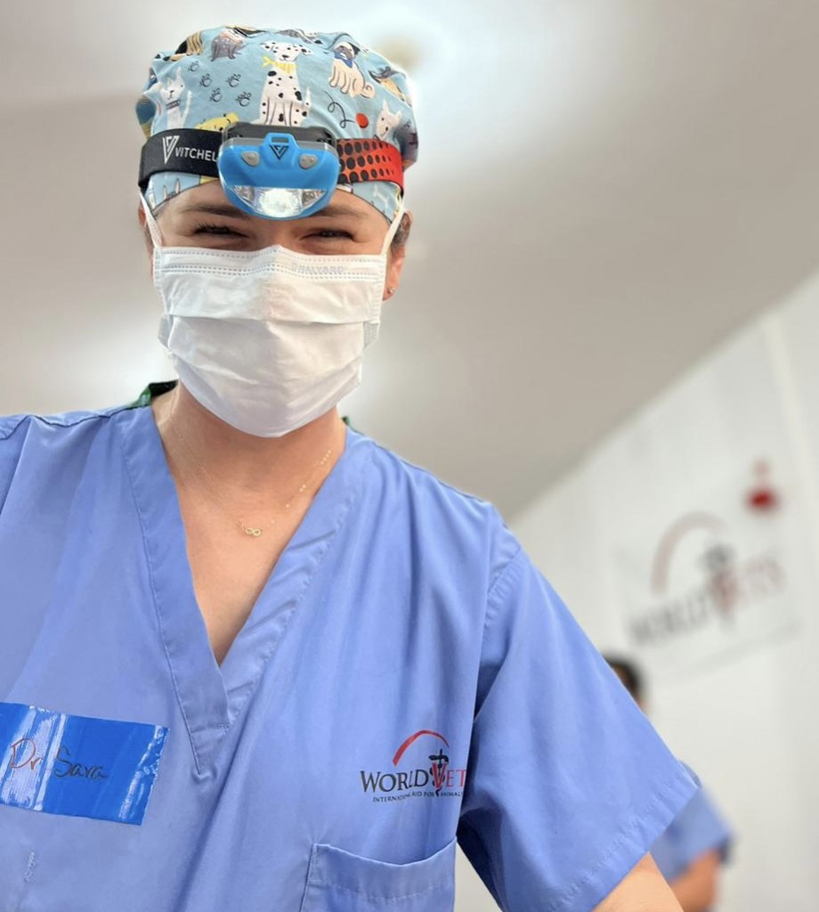 News Updates - World Vets - to improve the quality of life of animals ...