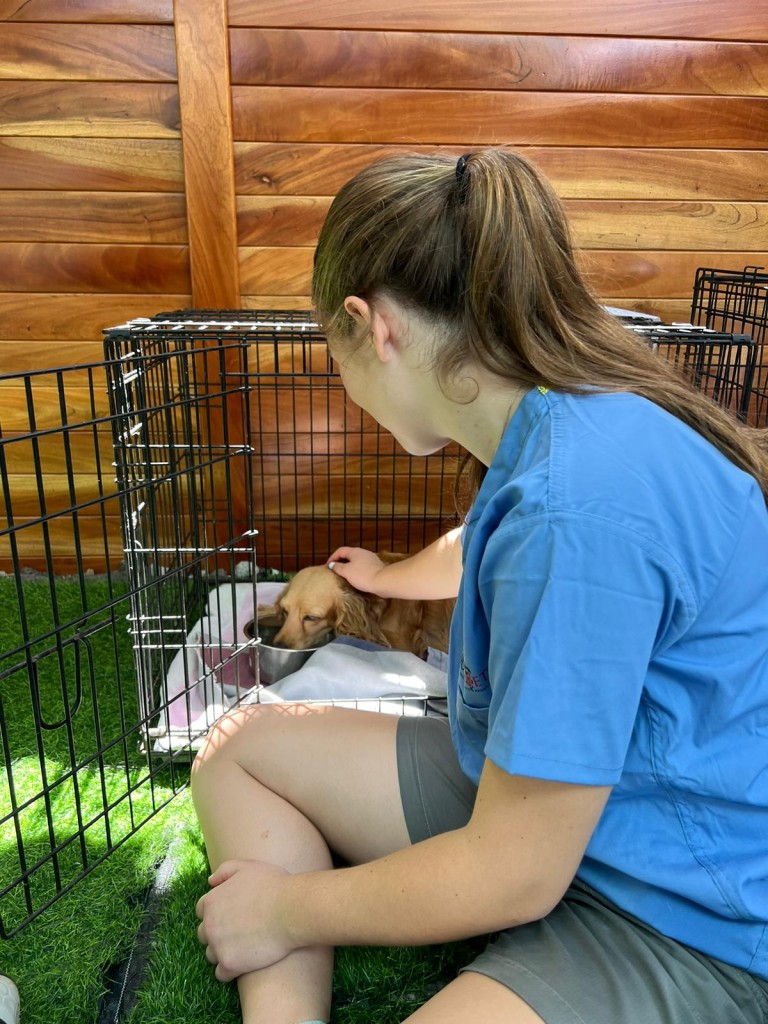 News Updates - World Vets - to improve the quality of life of animals ...