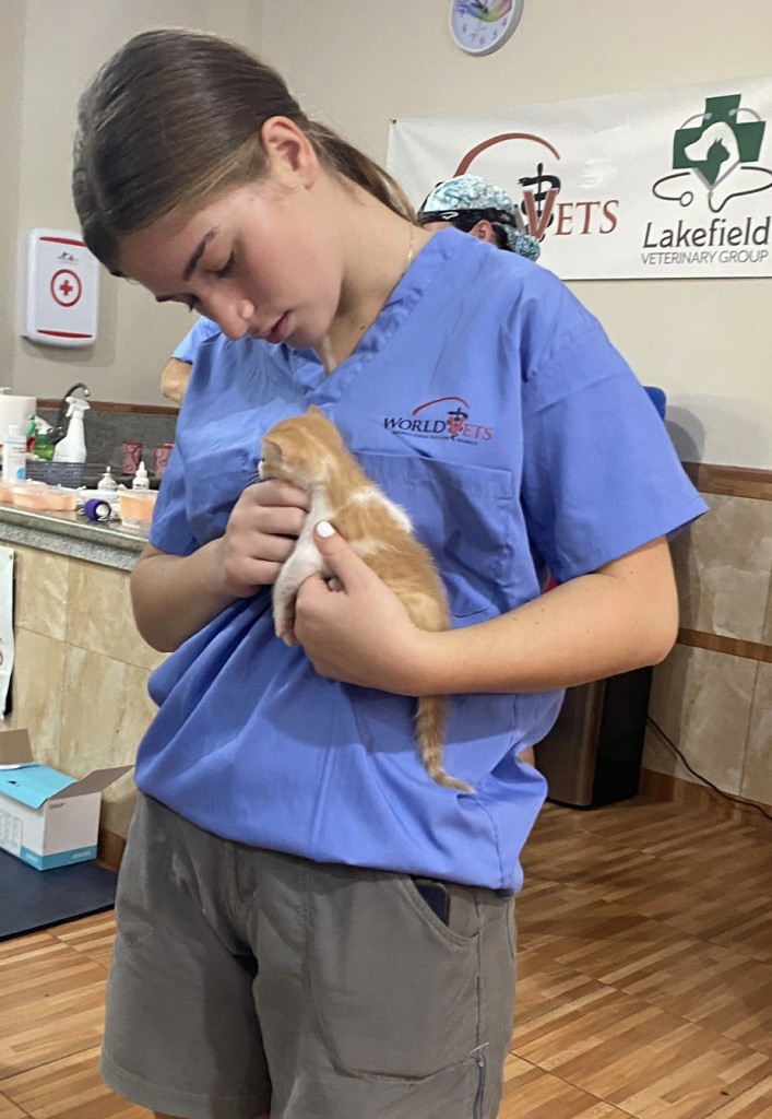 News Updates - World Vets - to improve the quality of life of animals ...