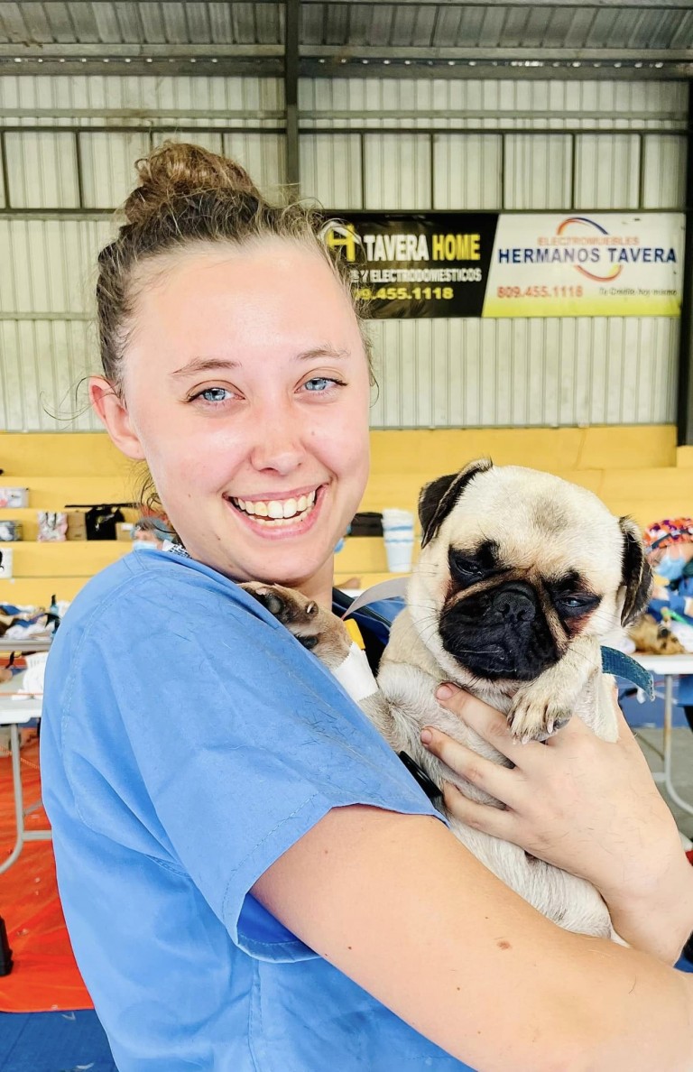 News Updates - World Vets - to improve the quality of life of animals ...