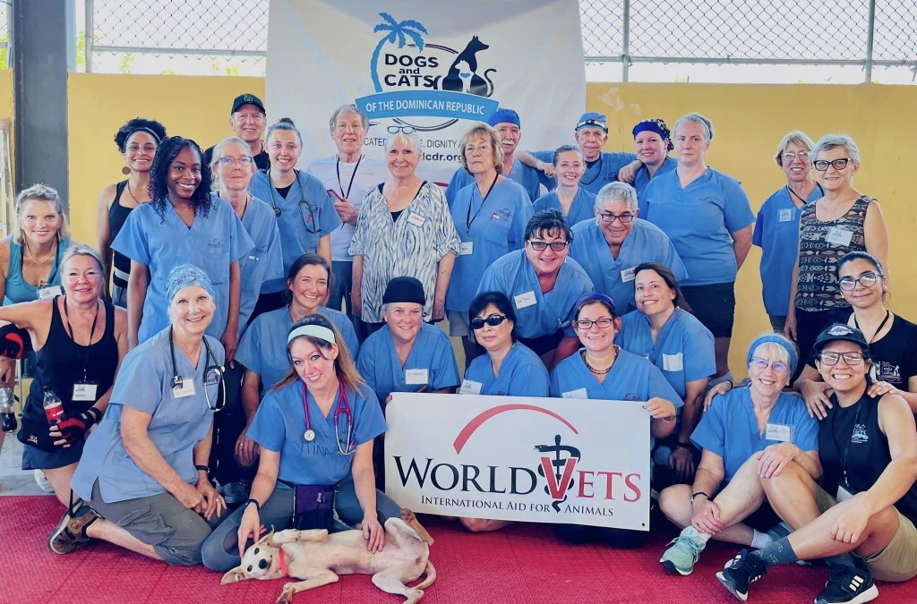 News Updates - World Vets - to improve the quality of life of animals ...