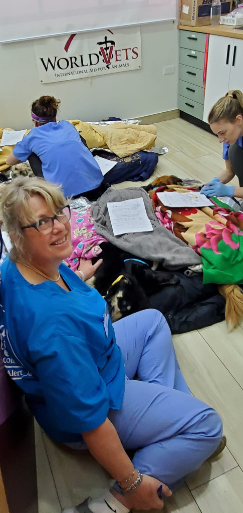 News Updates - World Vets - to improve the quality of life of animals ...